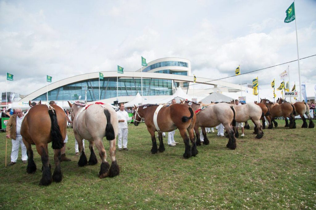 La Foire de Libramont aura lieu ce week-end